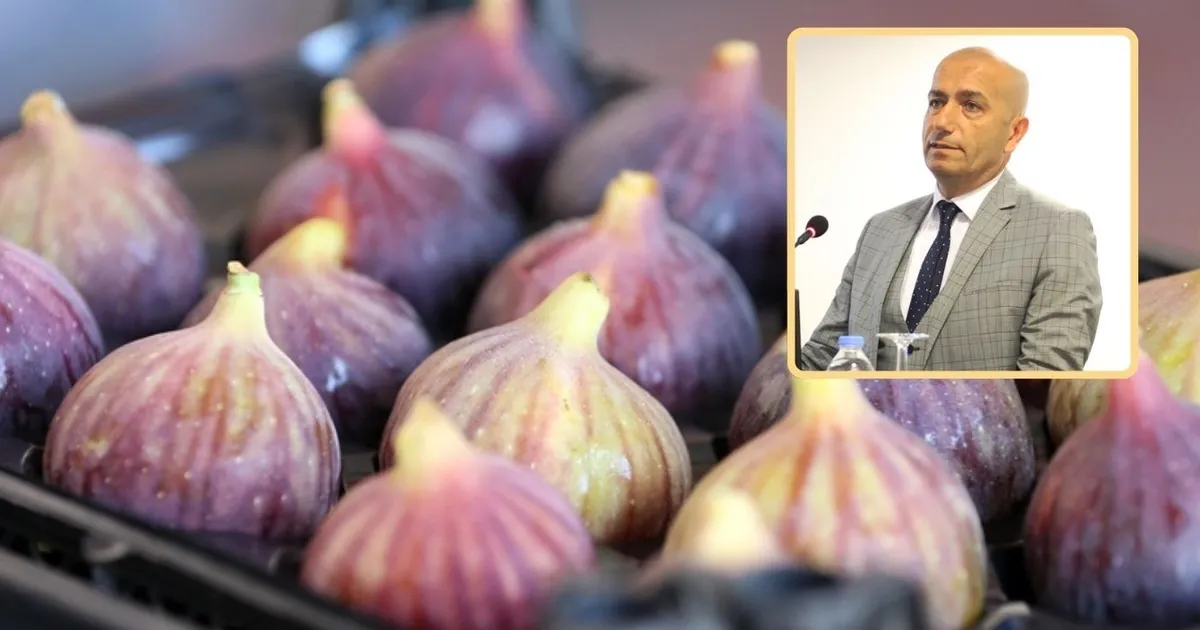 Prof. Dr. Senih Yazgan, siyah incire dikkat çekti - Dijital Haber | İş ...